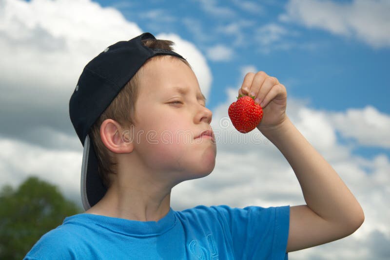 Cute Young Boy Smells or Tastes Strawberry Stock Photo - Image of ...