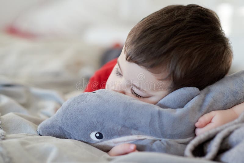 Cute Young Boy Taking a Nap on the Bed Using His Plush Toy As a Pillow ...