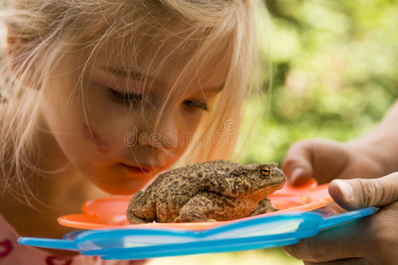 A Cute Young Girl Looking at Toad (frog) Stock Photo - Image of ...