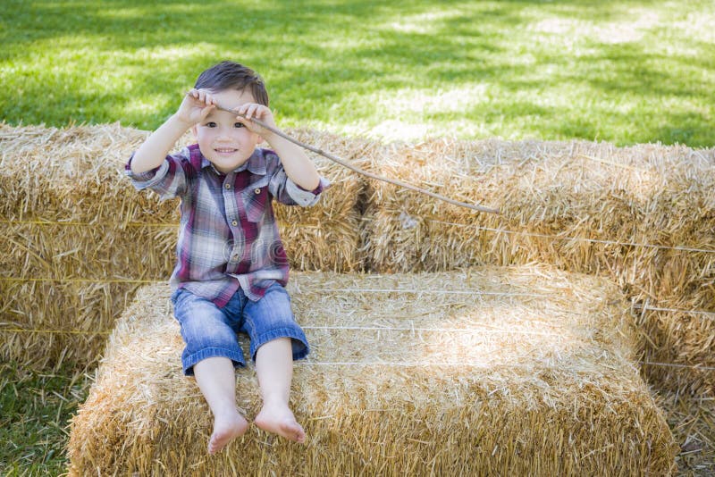 Boy on bale of hay stock photo. Image of farming, cute - 2919094