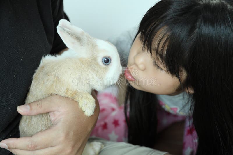 Cute Young Rabbit stock image. Image of pets, animal - 336114473