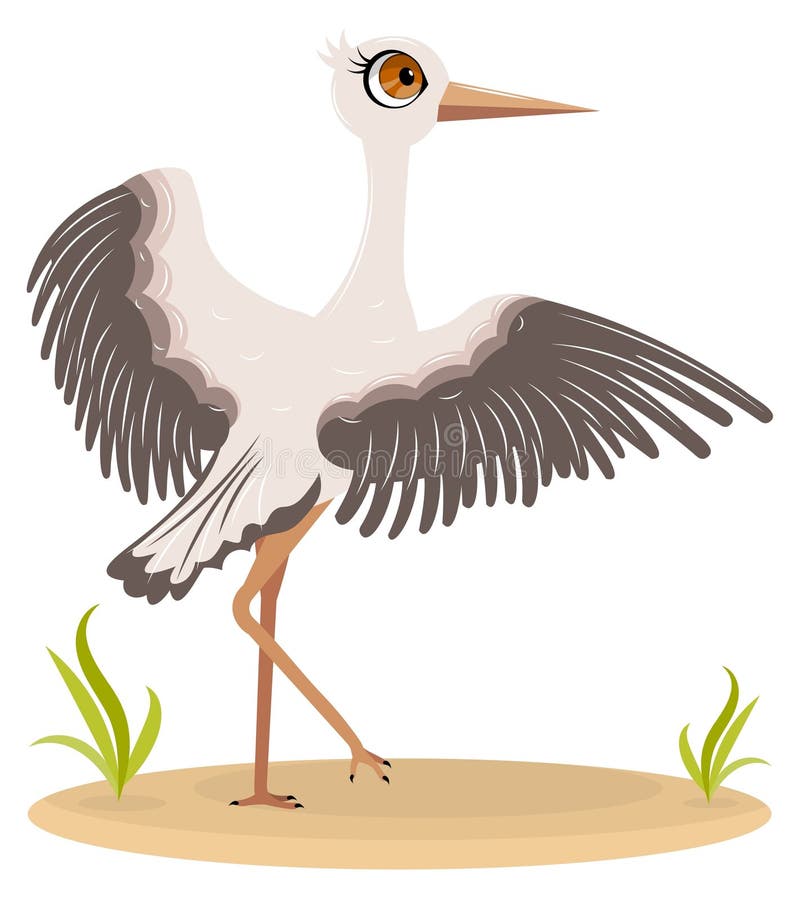 Cute Zoo. Vector Birds. Cute Stork Stock Illustration - Illustration of ...