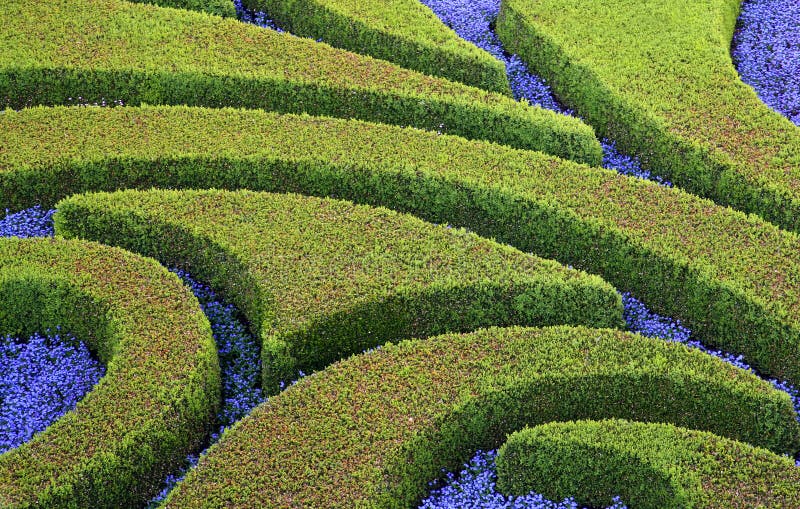 Cuted cespugli e fiori fotografia stock. Immagine di domestico - 5172104