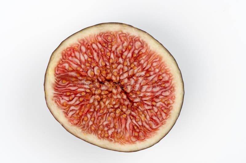Cuted fig fruit stock photo. Image of berry, closeup - 187434292