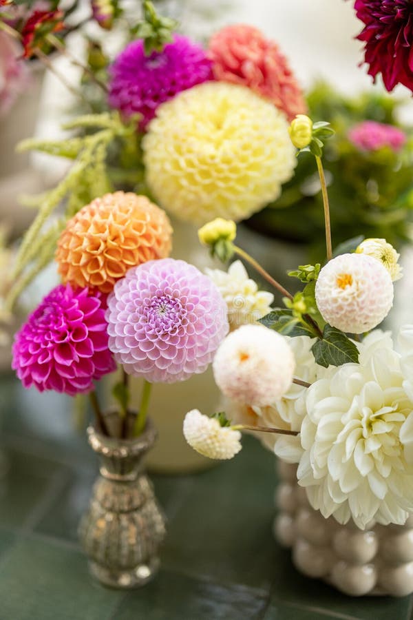 Cuted Flowers on Table Outdoors Stock Photo - Image of decor, dahlias ...