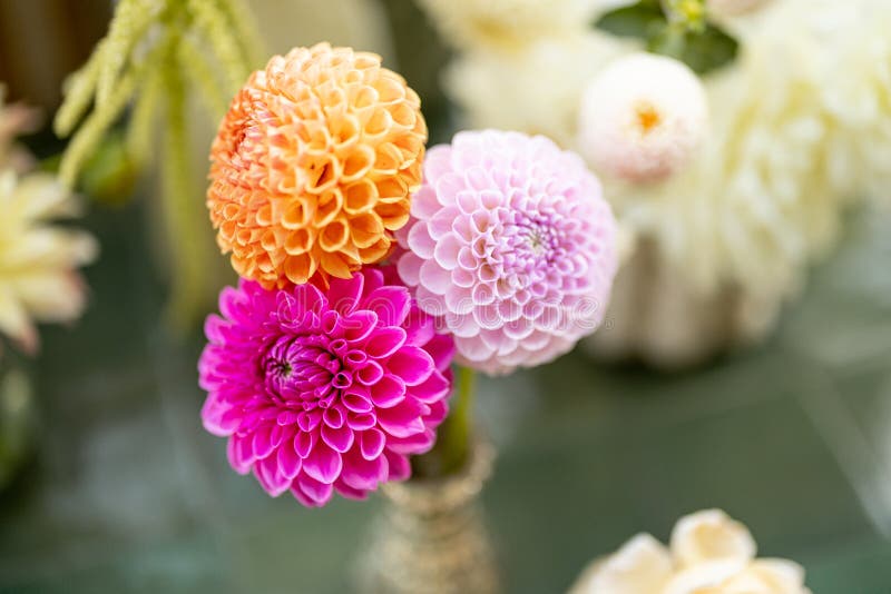Cuted Flowers on Table Outdoors Stock Image - Image of romantic ...