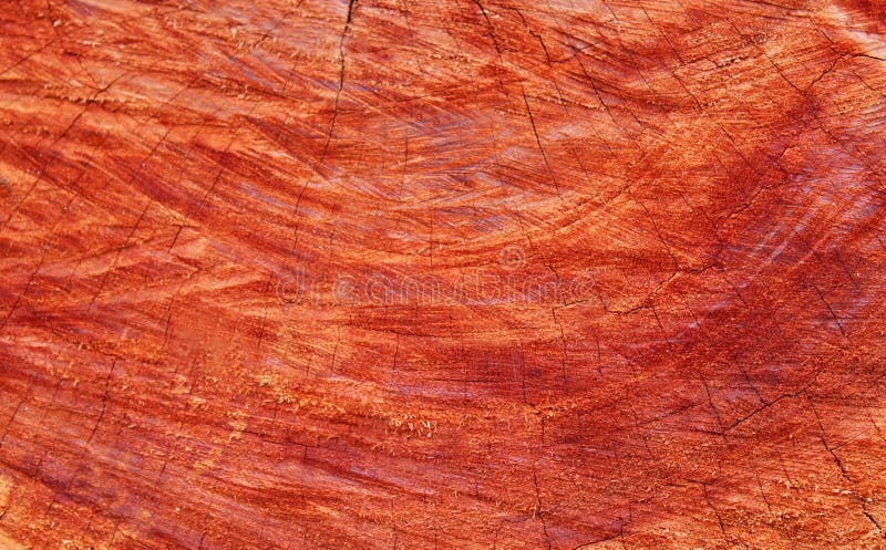 Cuted wood texture stock image. Image of natural, stack - 60805311