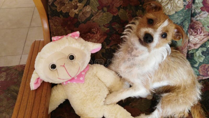 Cuteness Overload. Portrait of an Adorable Little Girl Lying on a Rug ...