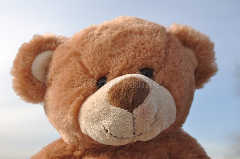Cutest teddy bear stock image. Image of teddy, close - 11976769