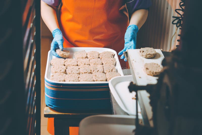 Cutlet making factory stock photo. Image of tasty, production - 140352080