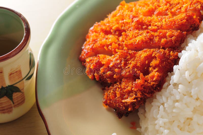 Cutlet pork rice stock image. Image of deep, meat, style - 28987511