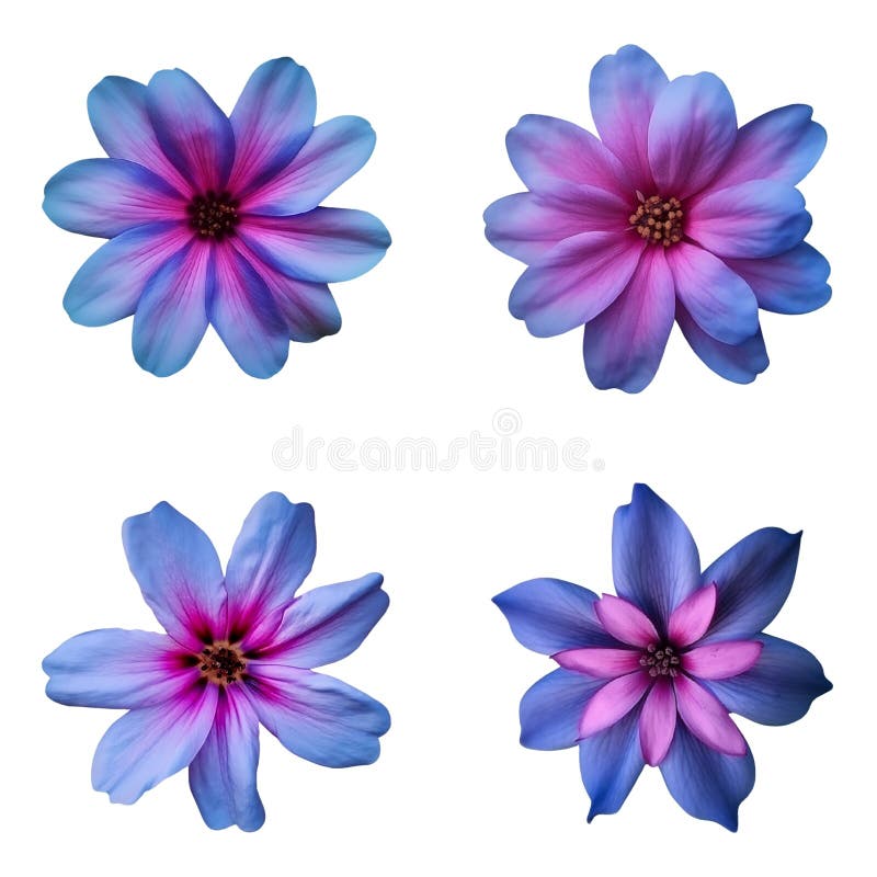 Cutout Set with Purple To Blue Gradient Flowers Stock Photo - Image of ...