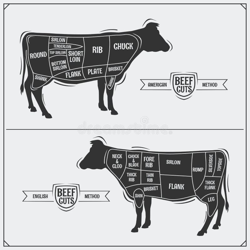 Cuts of Beef. American and English Method Stock Vector - Illustration ...