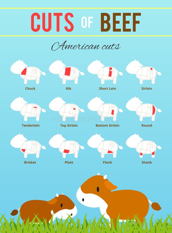 Cuts of beef cartoon stock vector. Illustration of sirloin - 58669883