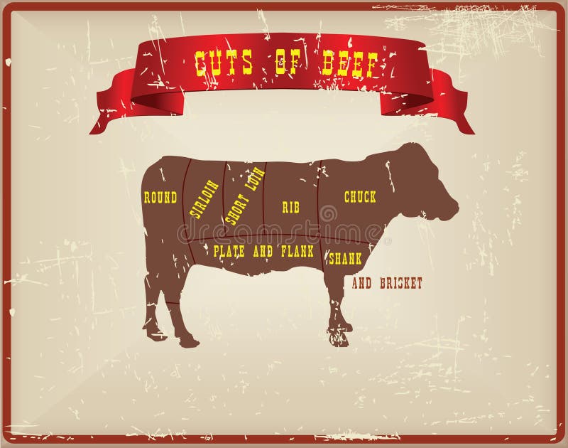 Cuts of Beef. Poster Butcher Diagram. Cow Silhouette Isolated. Meat ...