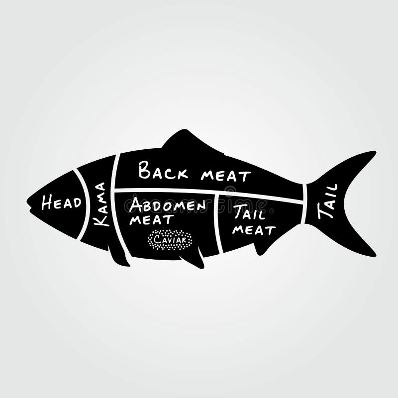 Cuts of Fish. Butchery Diagram with Fish Stock Vector - Illustration of ...