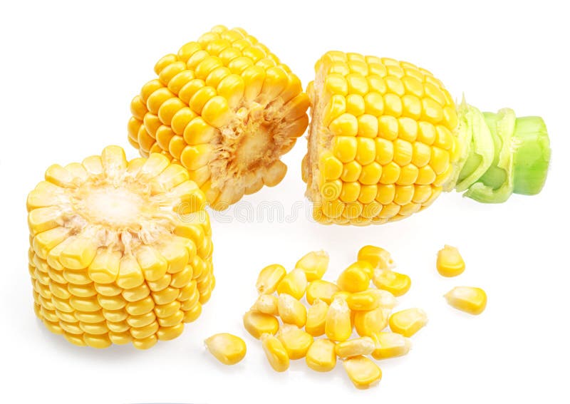 Cuts of Maize Cob or Corn Cob Isolated on White Background Stock Photo ...