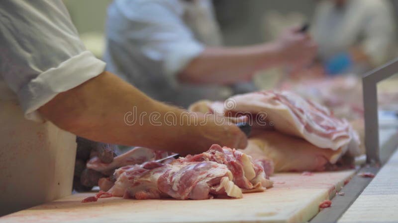 The Bone from the Carcass of the Animal Moves Along the Conveyor Stock ...