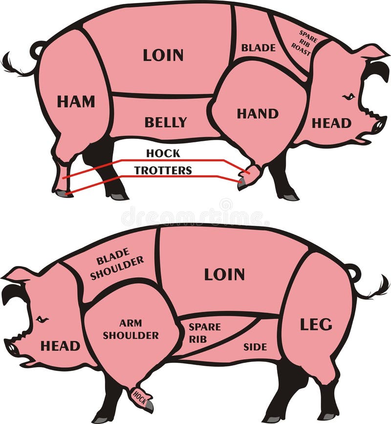 Cuts of Pork - American & British Stock Vector - Illustration of meal ...