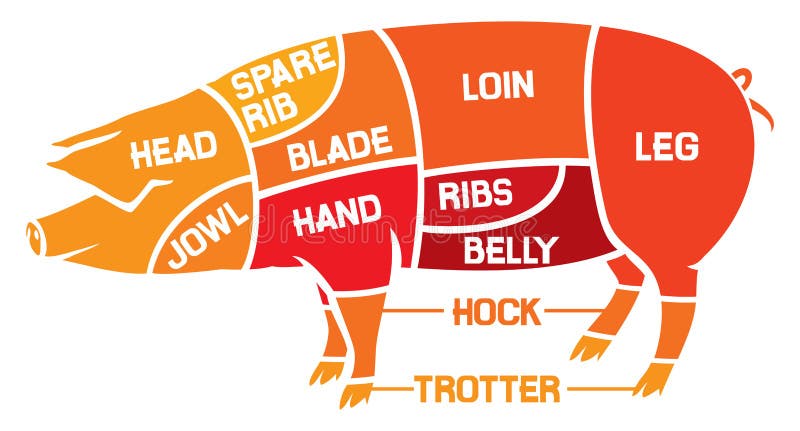 Cuts of Pork - Meat Diagrams Stock Vector - Illustration of cuisine ...