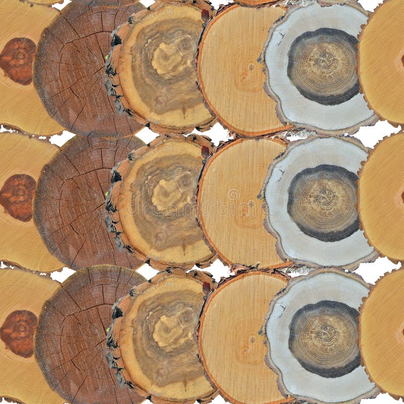 Cuts of Trees, Seamless Pattern Stock Image - Image of tree, background ...