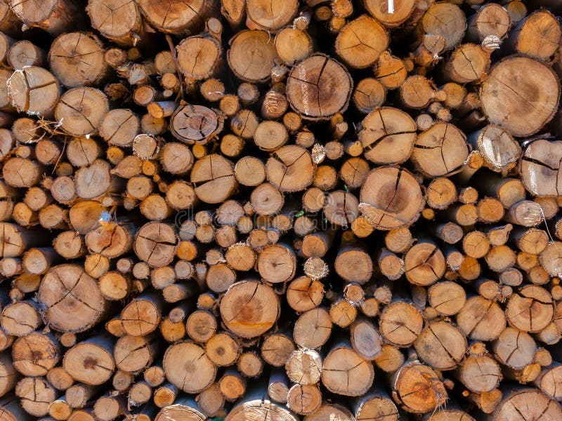 Stacked fire wood stock image. Image of stacked, fire - 65203165