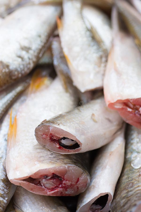 Cutted Head Fish for Cooking. Stock Image - Image of ingredient, dead ...