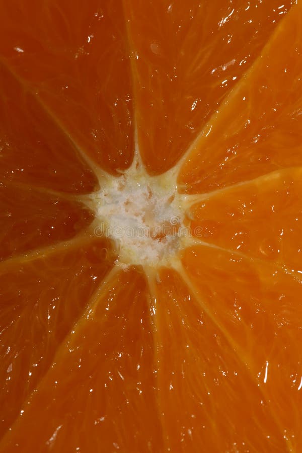 Cutted Orange Center Macro Macro Background High Quality Prints Stock ...