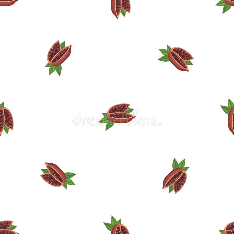 Cutted Organic Fruit Cacao Pattern Seamless Vector Stock Vector ...