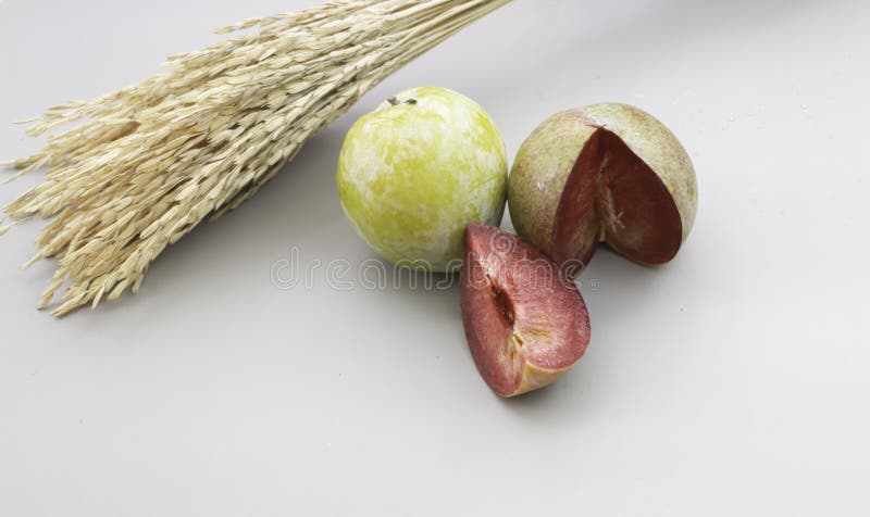 Aprium Fruit stock image. Image of farm, apricot, meal - 17657495