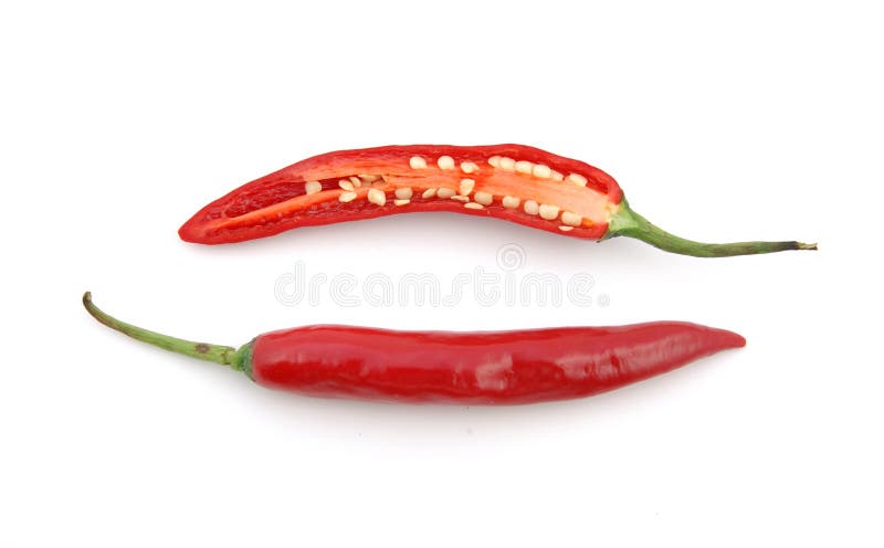 Green chili pepper. stock image. Image of spiced, spicy - 1041289