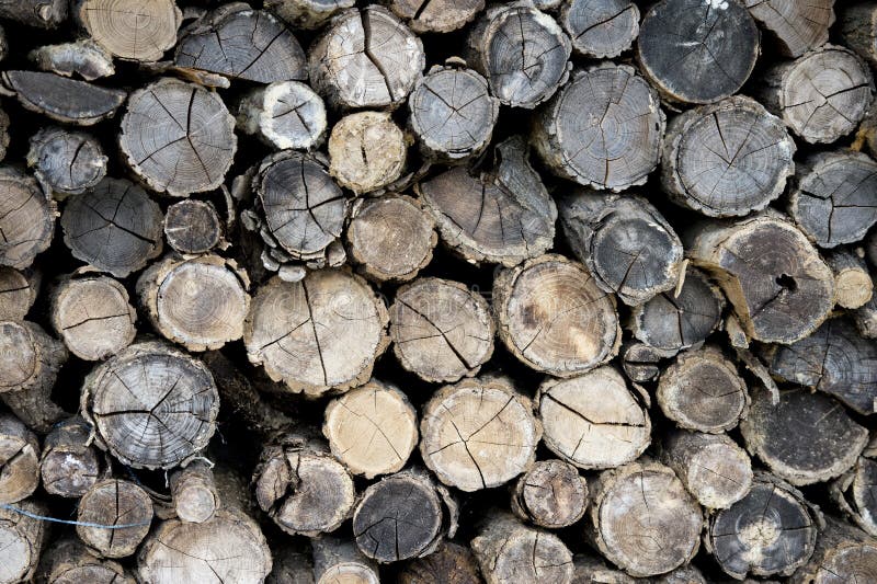 Cutted wood for winter stock image. Image of pile, wooden - 34032459