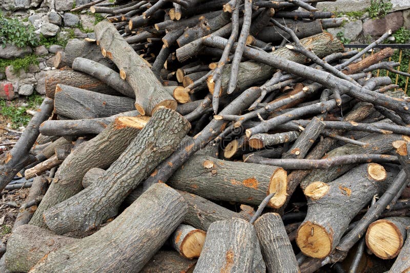 Cutten woods stock image. Image of timber, stored, outdoor - 206410195