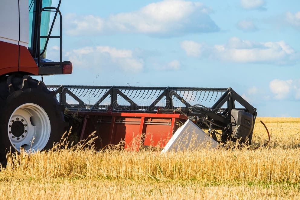 Cutter Platform of Reaping Machine at Work. Combine Harvester in the ...