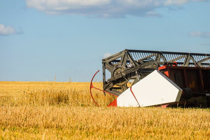 Cutter Platform at Work. Reaping Machine Stock Image - Image of ...