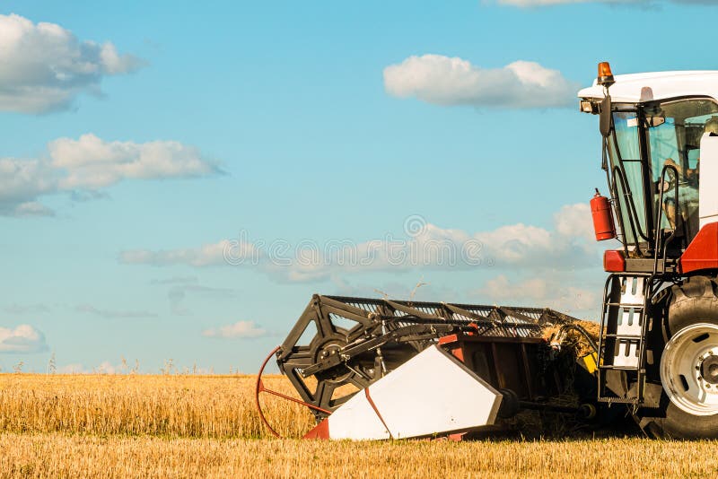 Cutter Platform at Work. Reaping Machine Stock Image - Image of field ...