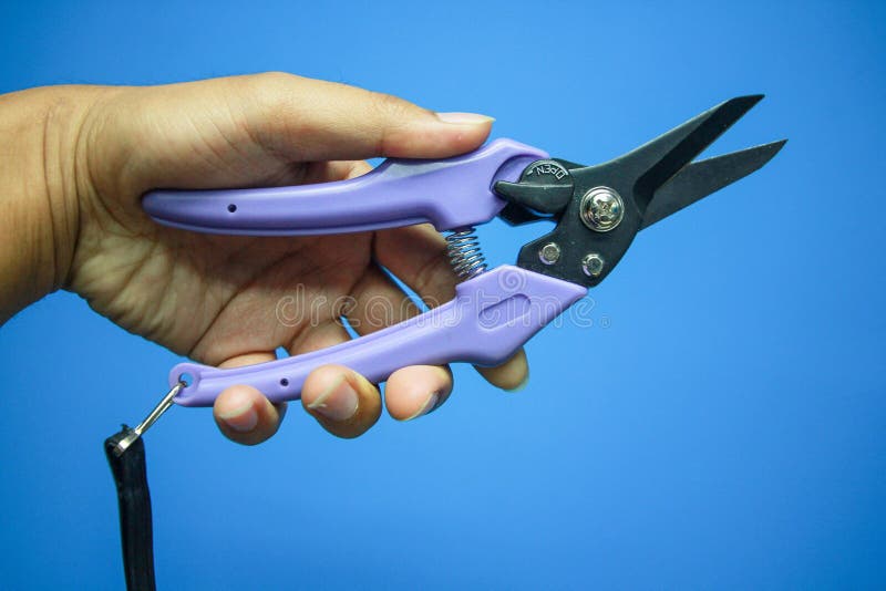 Cutter To Cut Cable or Wire Stock Image - Image of green, electricity ...