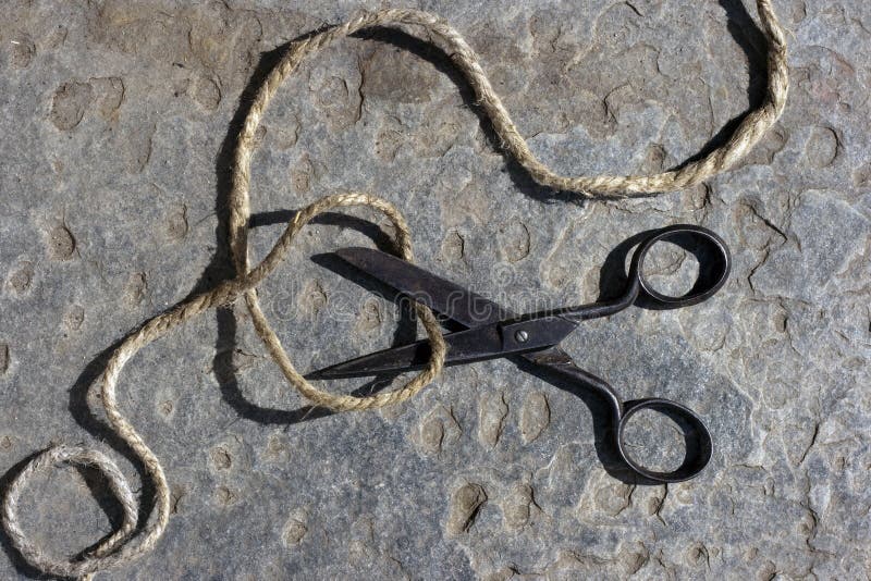 622 Scissors Cutting Rope Stock Photos - Free & Royalty-Free Stock ...