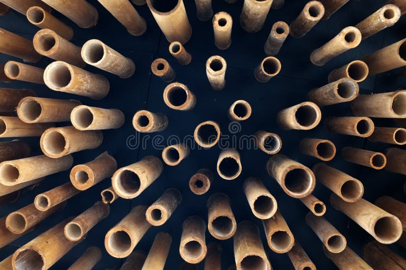 Cutting Bamboo, Cross Section of Bamboo Stock Photo - Image of cross ...