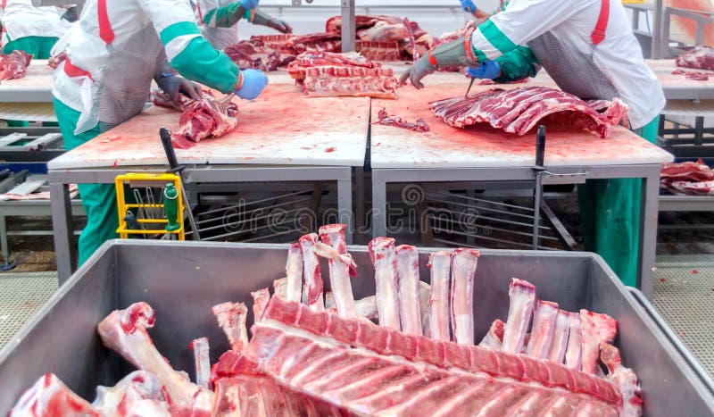 Cutting Beef at a Meat Factory Stock Image - Image of industry ...