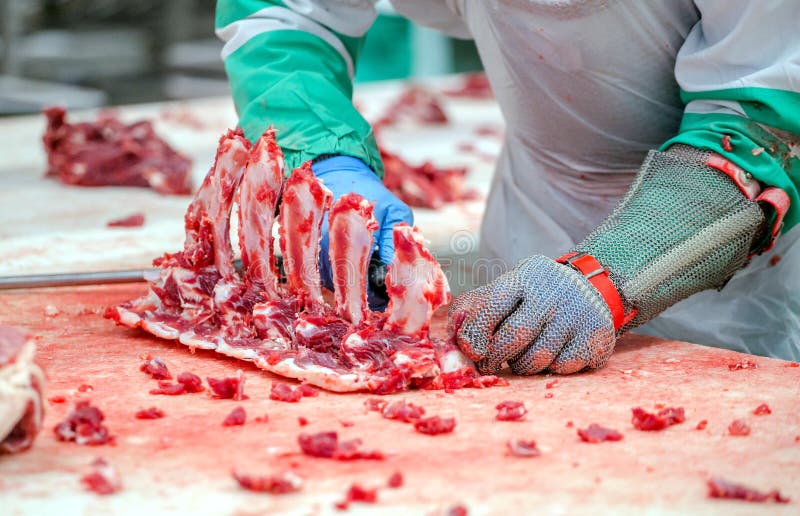Cutting Beef at a Meat Factory Stock Photo - Image of production, work ...