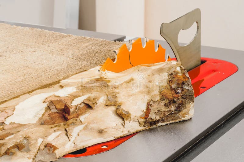 Cutting the Board on a Circular Saw in a Woodworking Workshop Stock ...