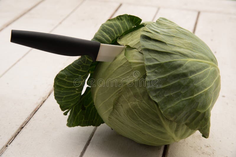 Inside cabbage. stock image. Image of fruit, fresh, inside - 253071905