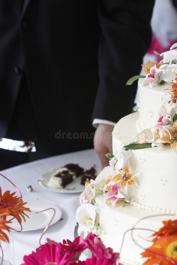 Cutting the cake stock photo. Image of hold, background - 1563290