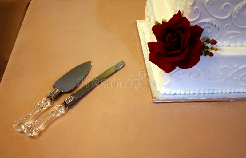 Cutting the Cake stock photo. Image of food, serve, servant - 3916978