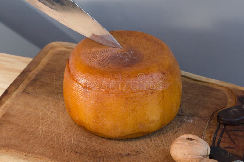 Cutting a Cheese wheel stock photo. Image of cutting - 59312140