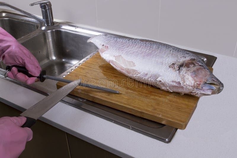 Cutting and Cleaning Big Fish Stock Photo - Image of food, preparing ...
