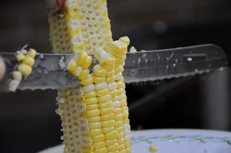 Cutting corn of the cob stock image. Image of knife - 125607339