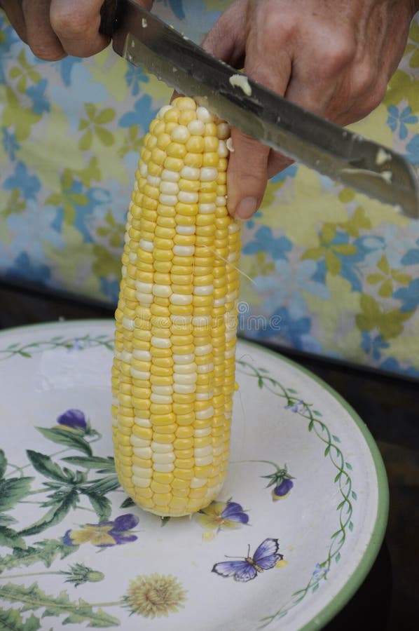 Cutting corn of the cob stock photo. Image of eating - 125607392