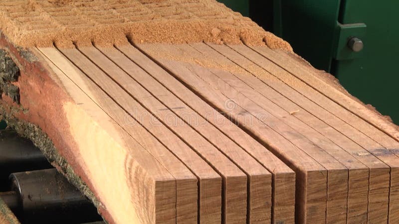 Cutting a Cut Tree Trunk into Boards Stock Video - Video of tree, steel ...